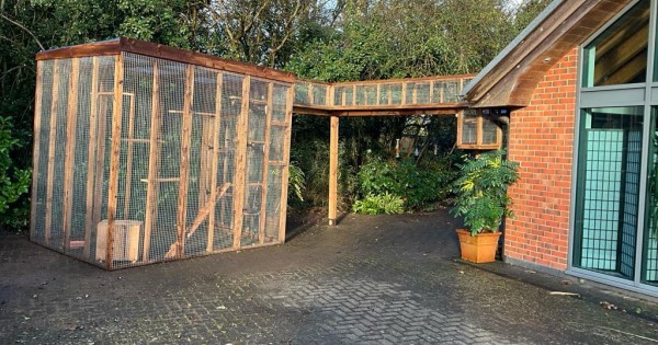 Three Sided & Freestanding enclosure connected by elevated tunnel